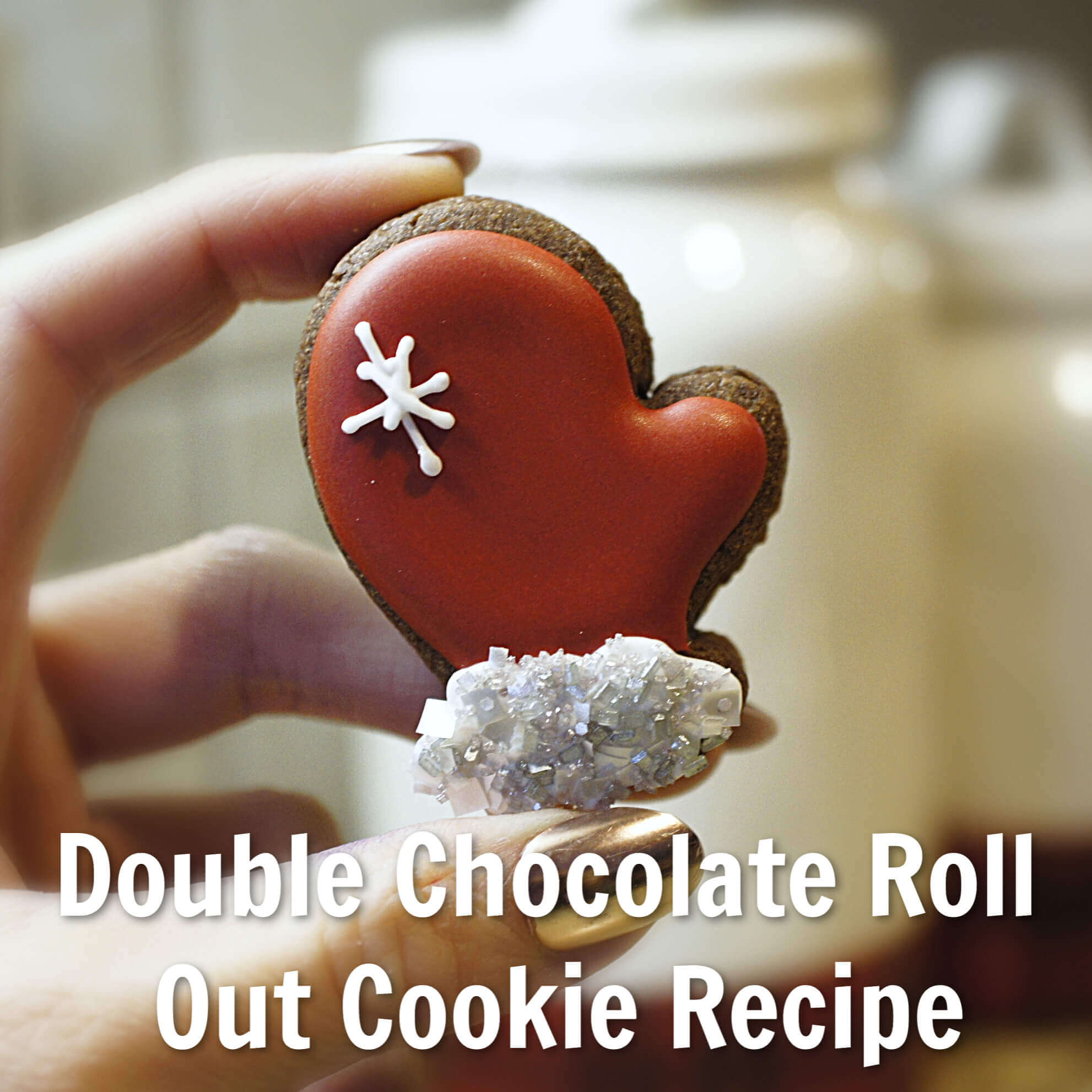 Double Chocolate Roll Out Cookie Recipe (PDF Download) - Borderlands Bakery